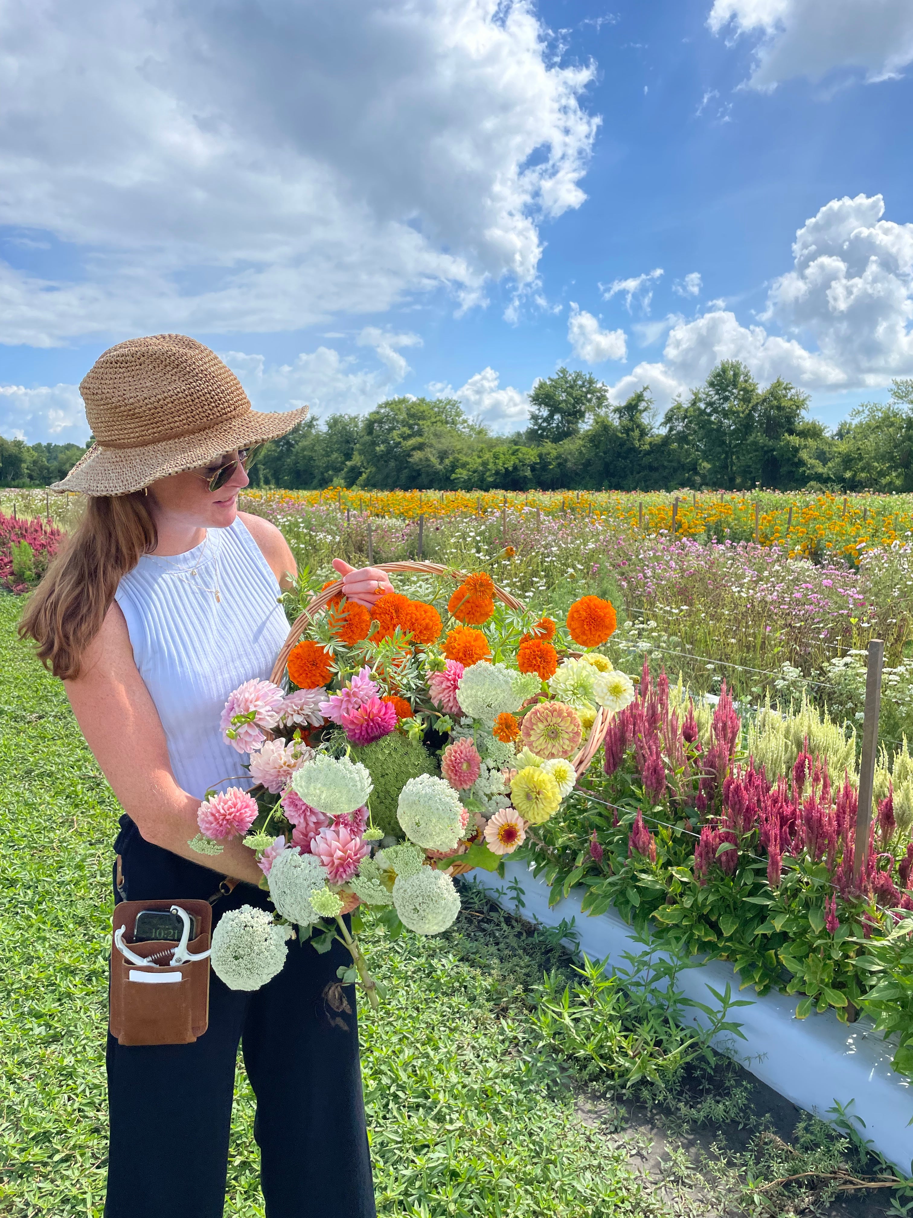 Upcoming Workshops – Fiore Design House